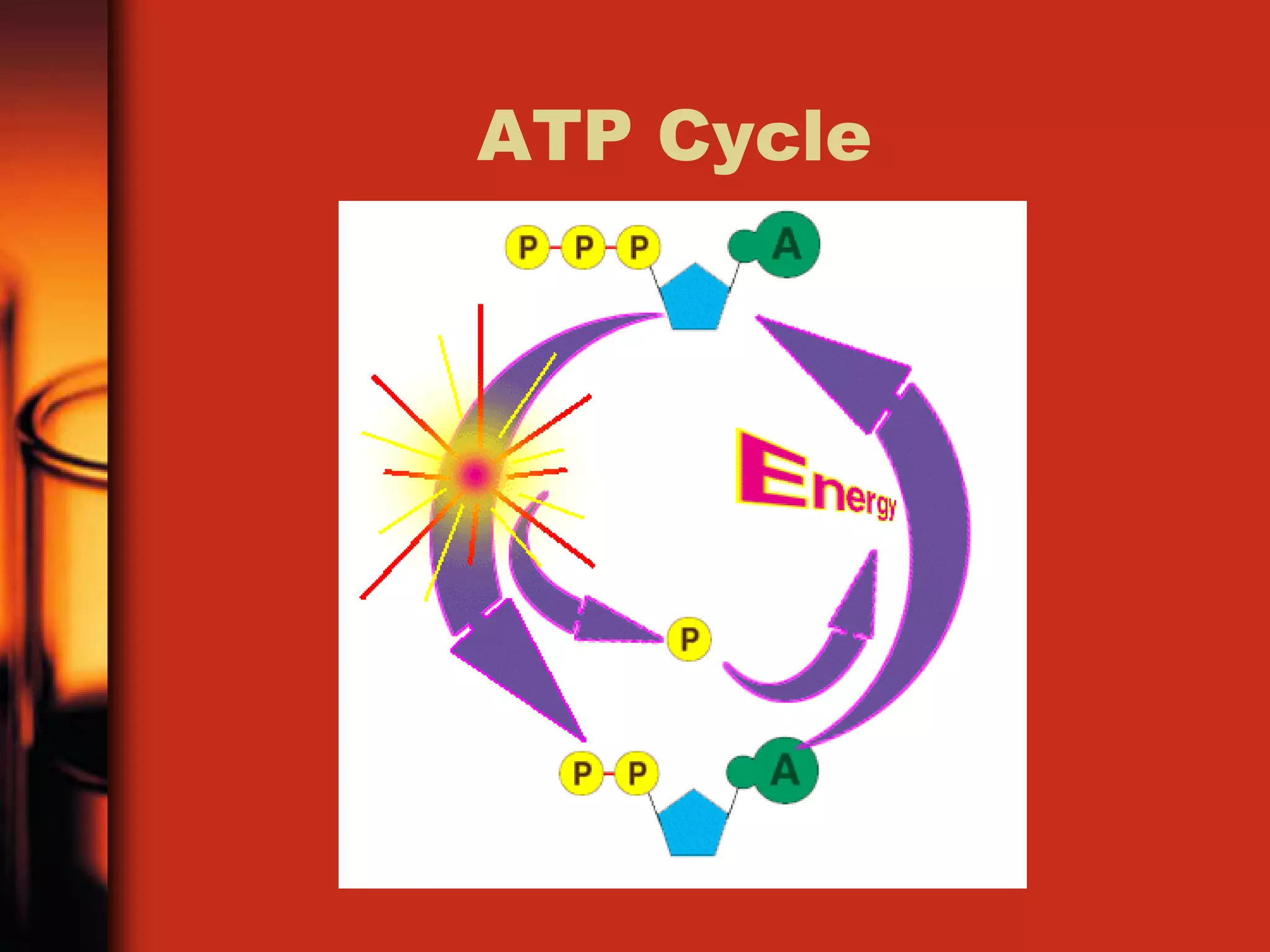 ATP | PPT