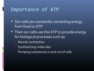 Atp! | PPT