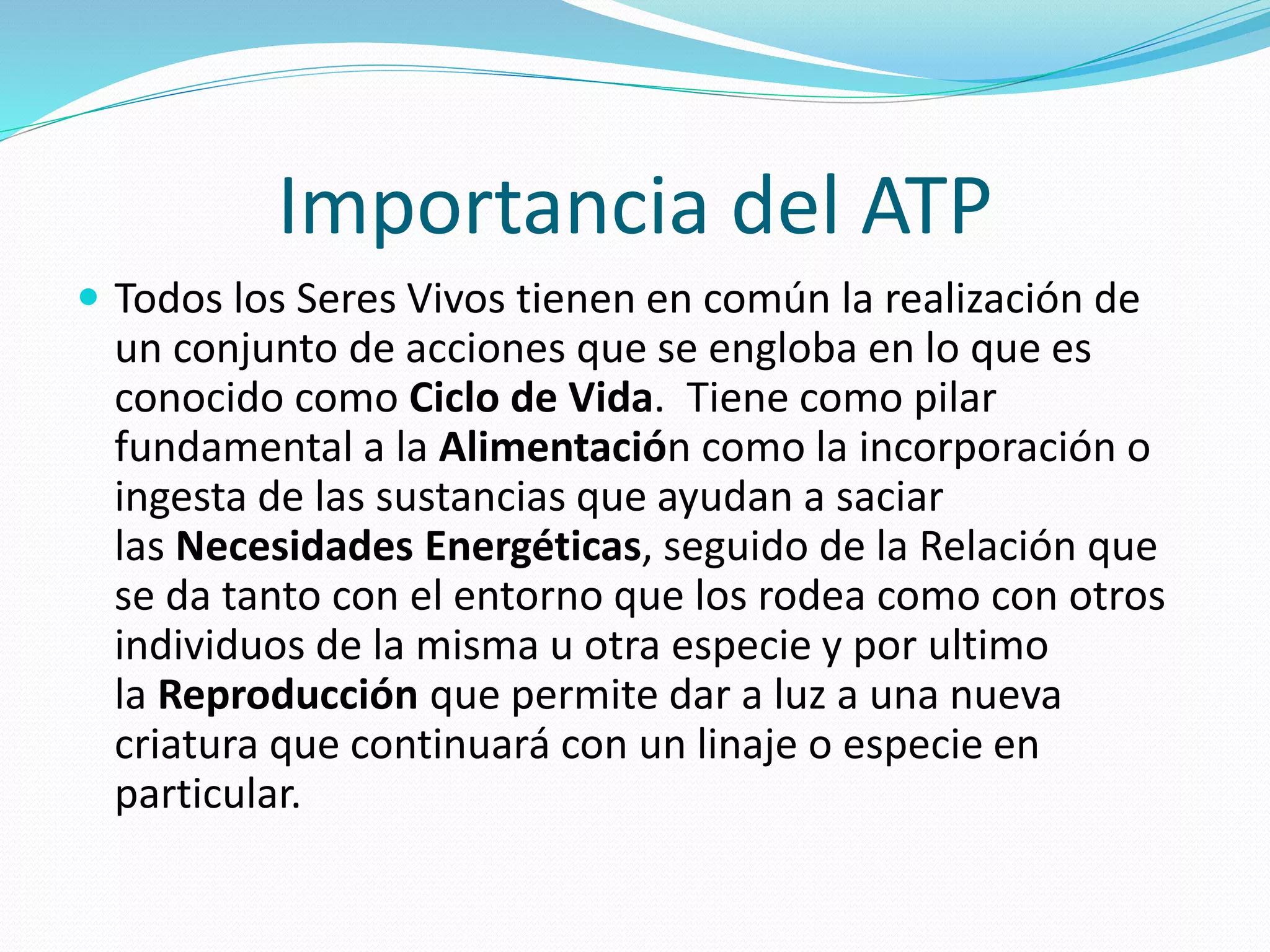 ATP y su función en los seres vivos | PPT | Descarga Gratuita