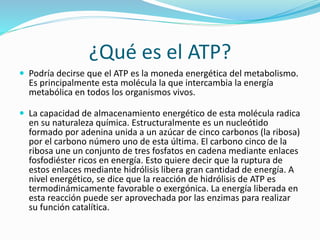 ATP y su función en los seres vivos | PPTX