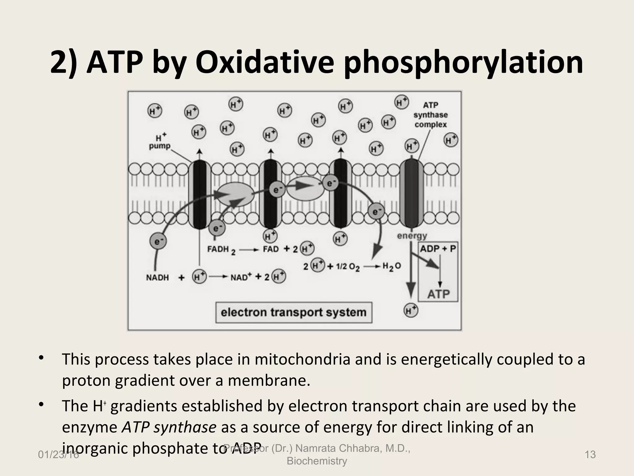 ATP- The universal energy currency of cell | PPT