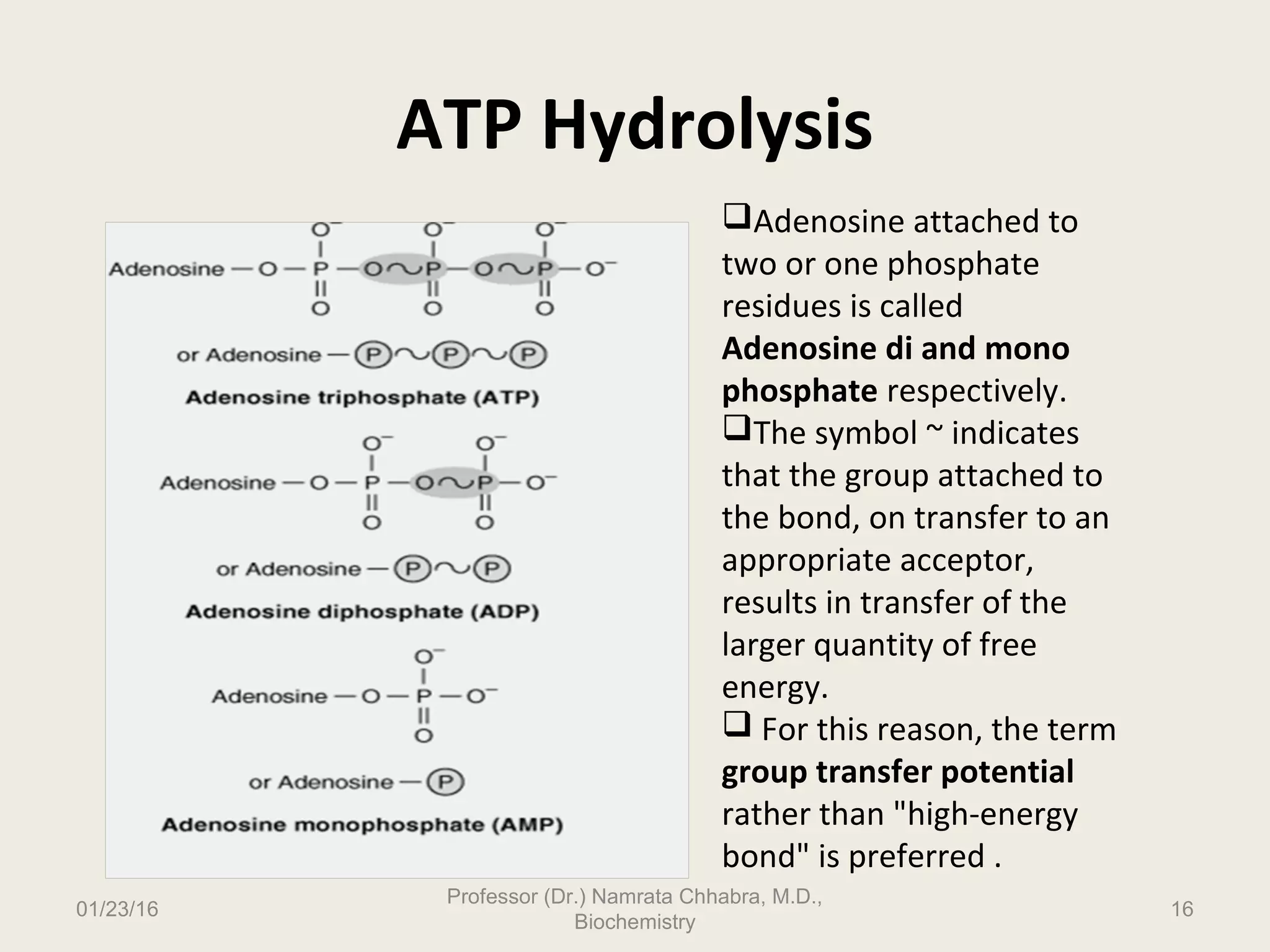 ATP- The universal energy currency of cell | PPT