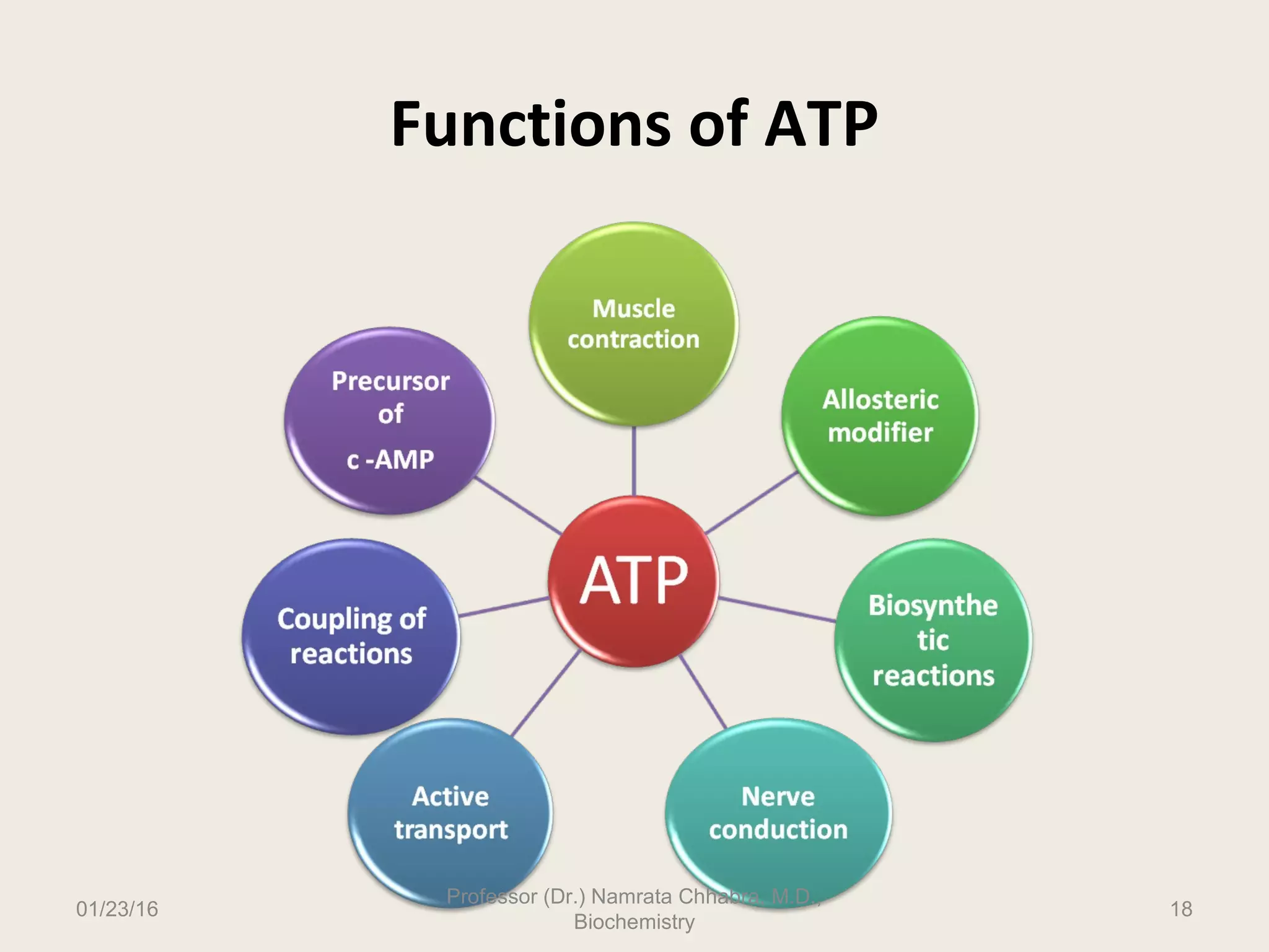 ATP- The universal energy currency of cell | PPT