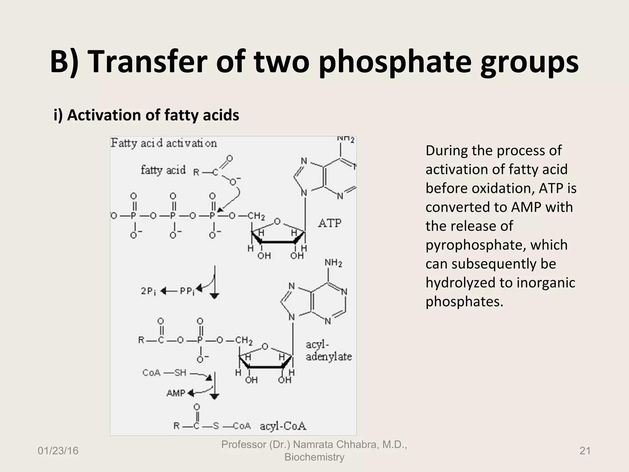 ATP- The universal energy currency of cell | PPT
