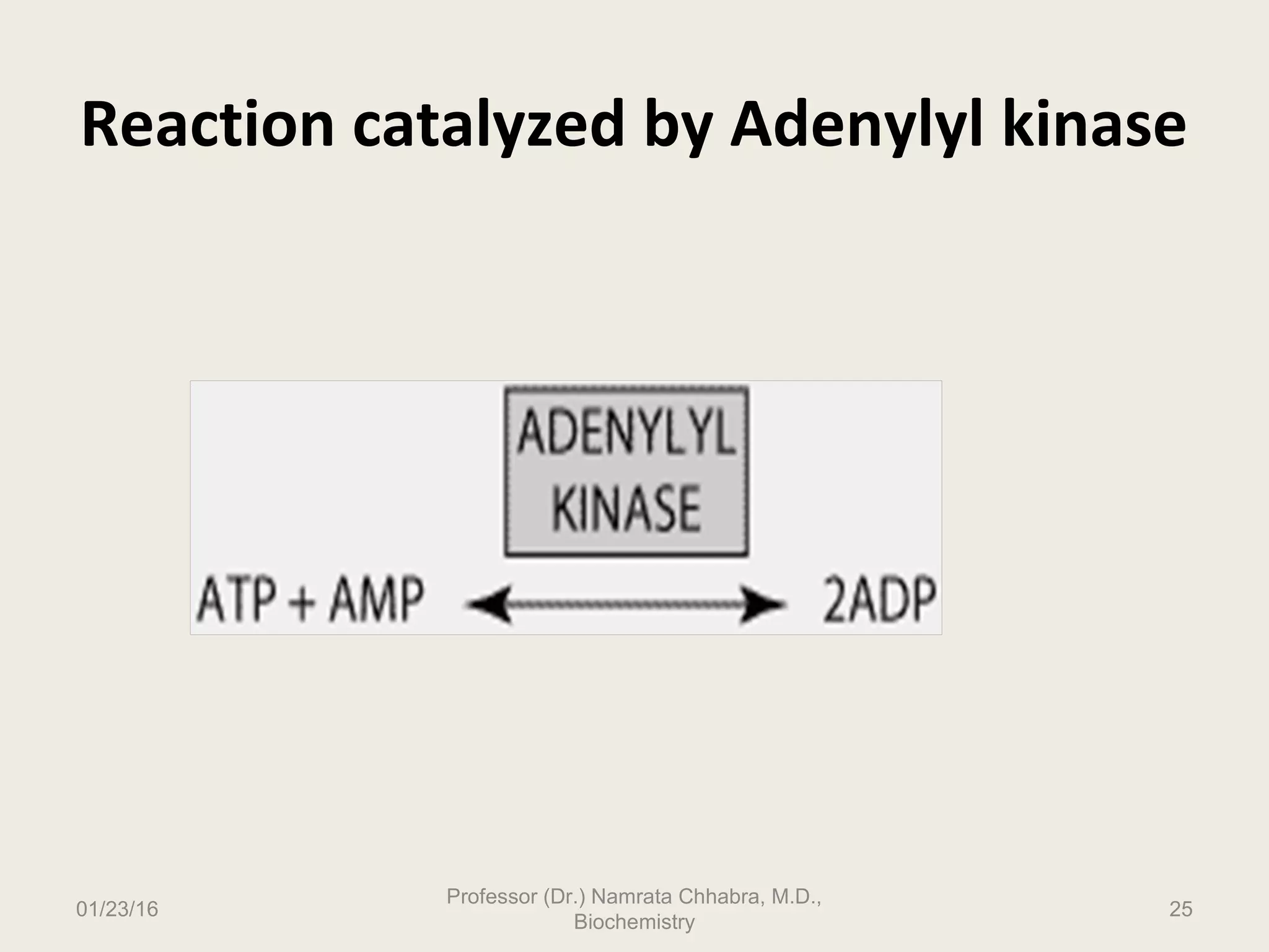 ATP- The universal energy currency of cell | PPT