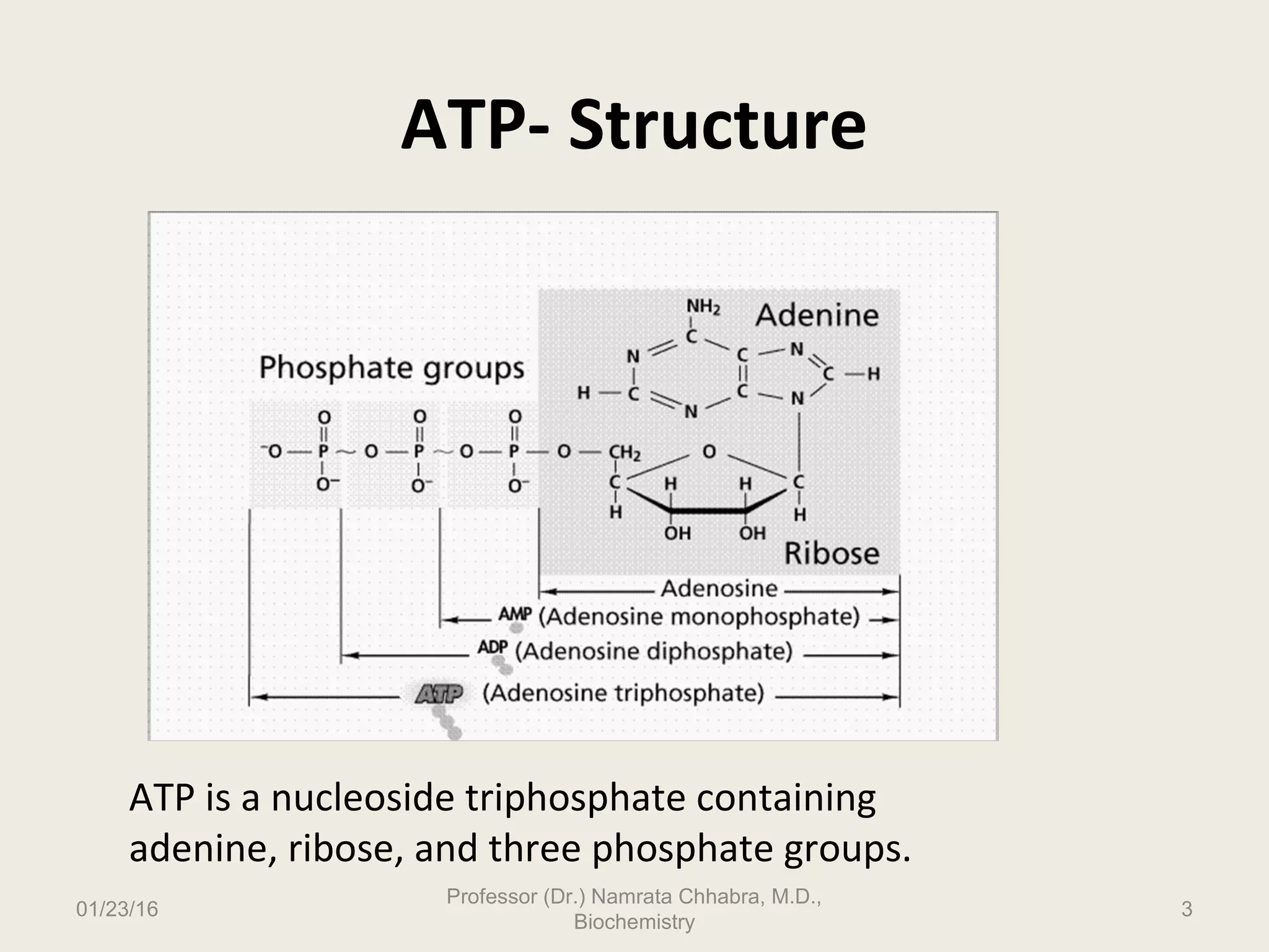 ATP- The universal energy currency of cell | PPT