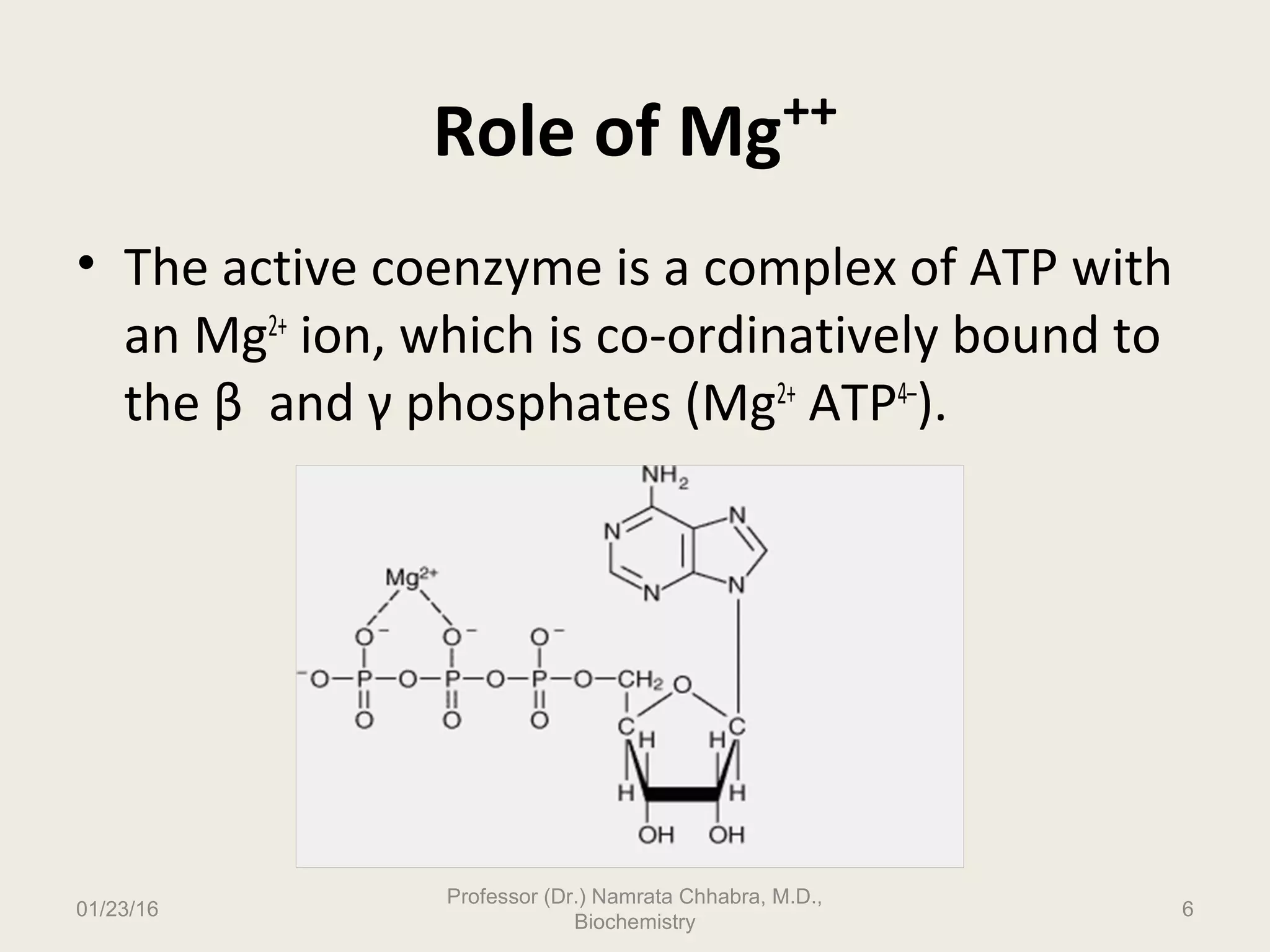 ATP- The universal energy currency of cell | PPT
