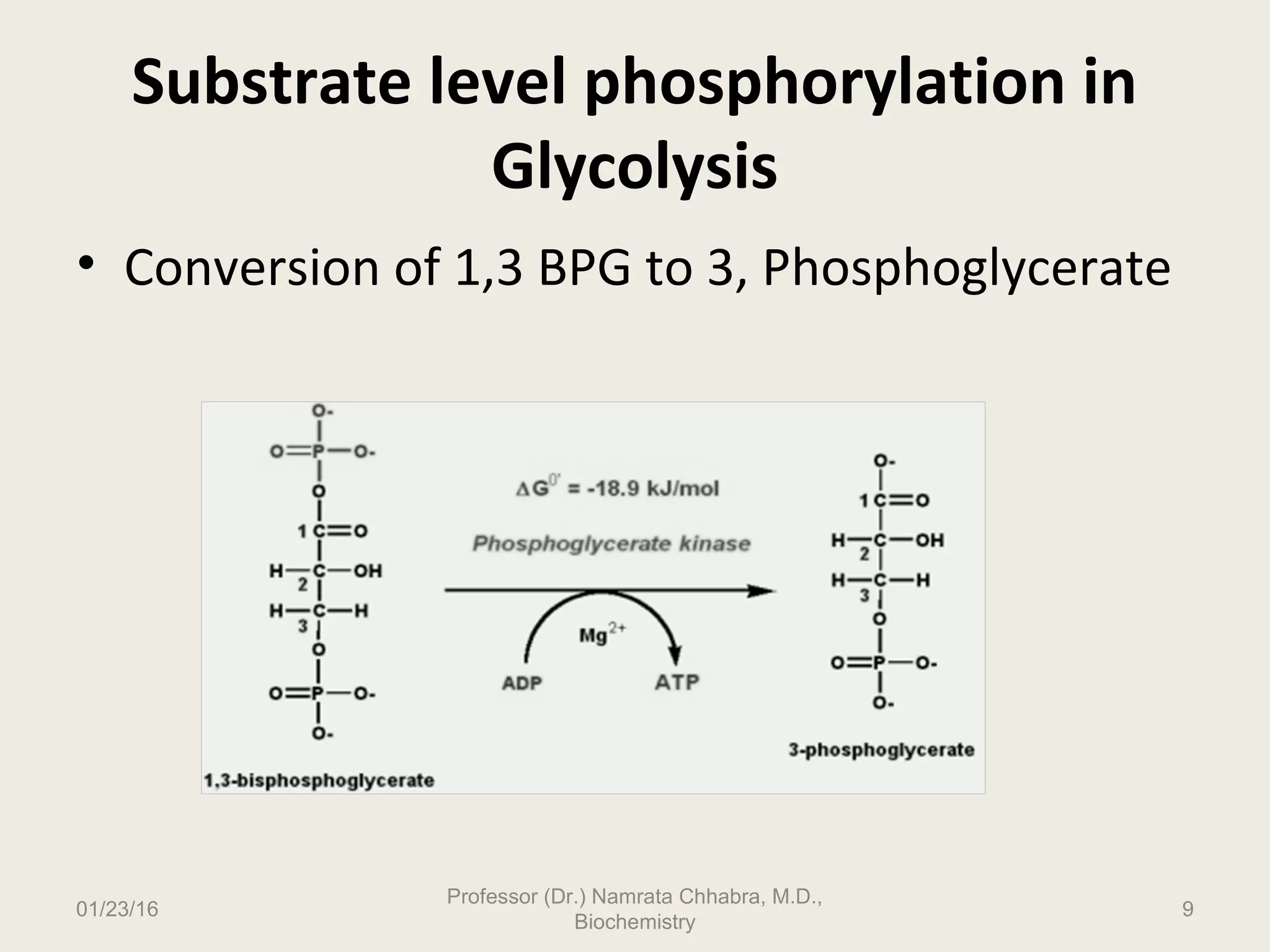 ATP- The universal energy currency of cell | PPT
