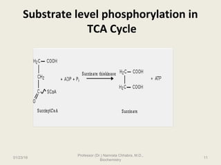 ATP- The universal energy currency of cell | PPT
