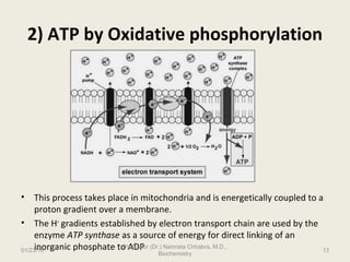 ATP- The universal energy currency of cell | PPT