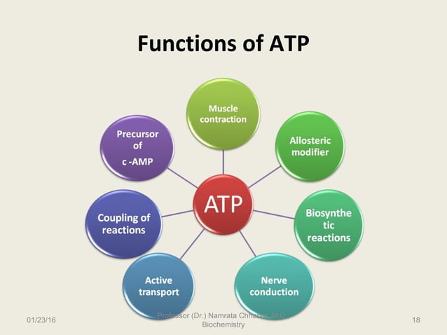 ATP- The universal energy currency of cell | PPT