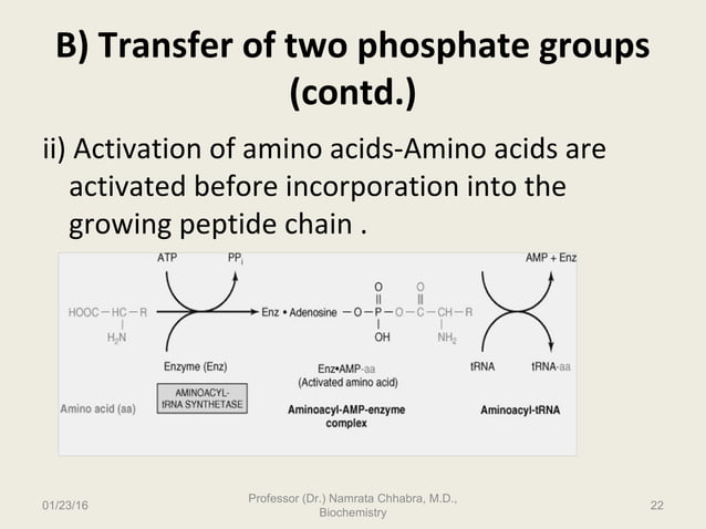 ATP- The universal energy currency of cell | PPT