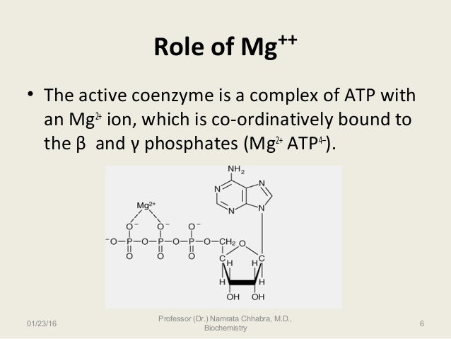 ATP- The universal energy currency of cell
