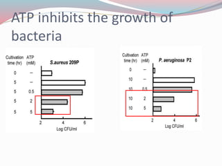 Atp, antibacterial agent | PPTX