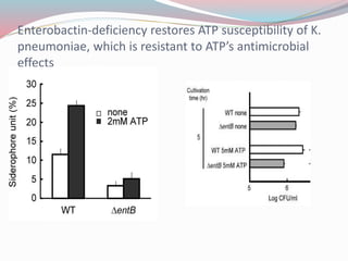Atp, antibacterial agent | PPTX
