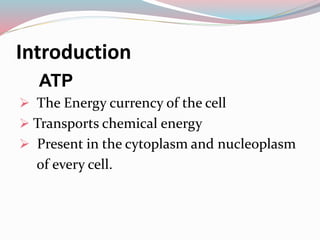 Atp, antibacterial agent | PPTX