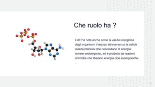 ATP | PPTX