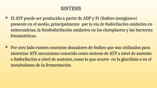 ATP Concepto, tipos y síntesis, estructura | PPTX