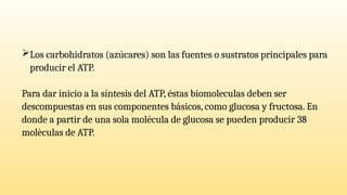 ATP Concepto, tipos y síntesis, estructura | PPTX