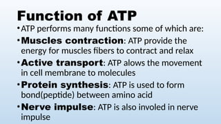 ATP: adenosine triphosphate | PPT