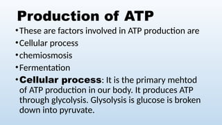ATP: adenosine triphosphate | PPTX