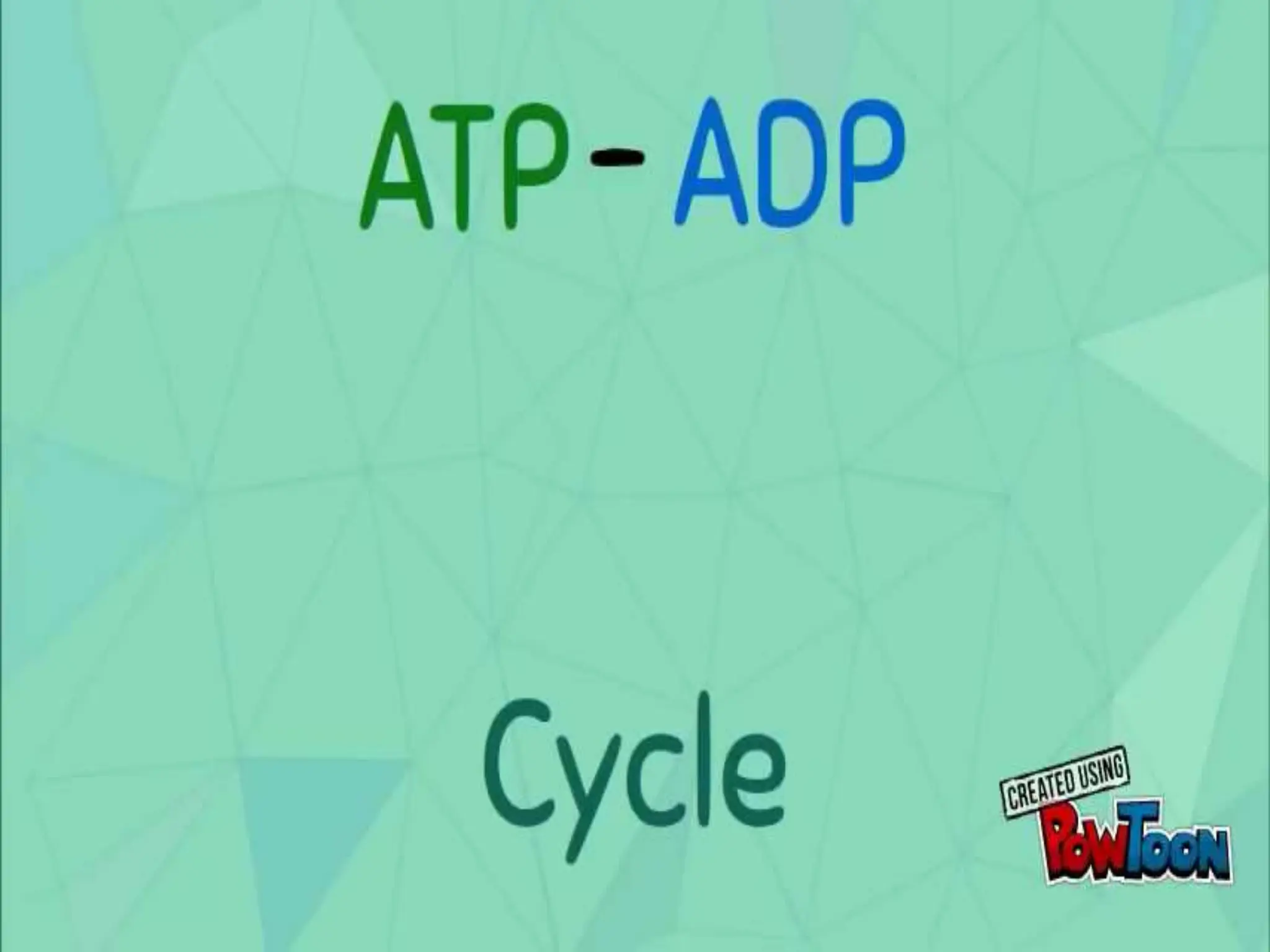 atp-adp-cycle.pptx