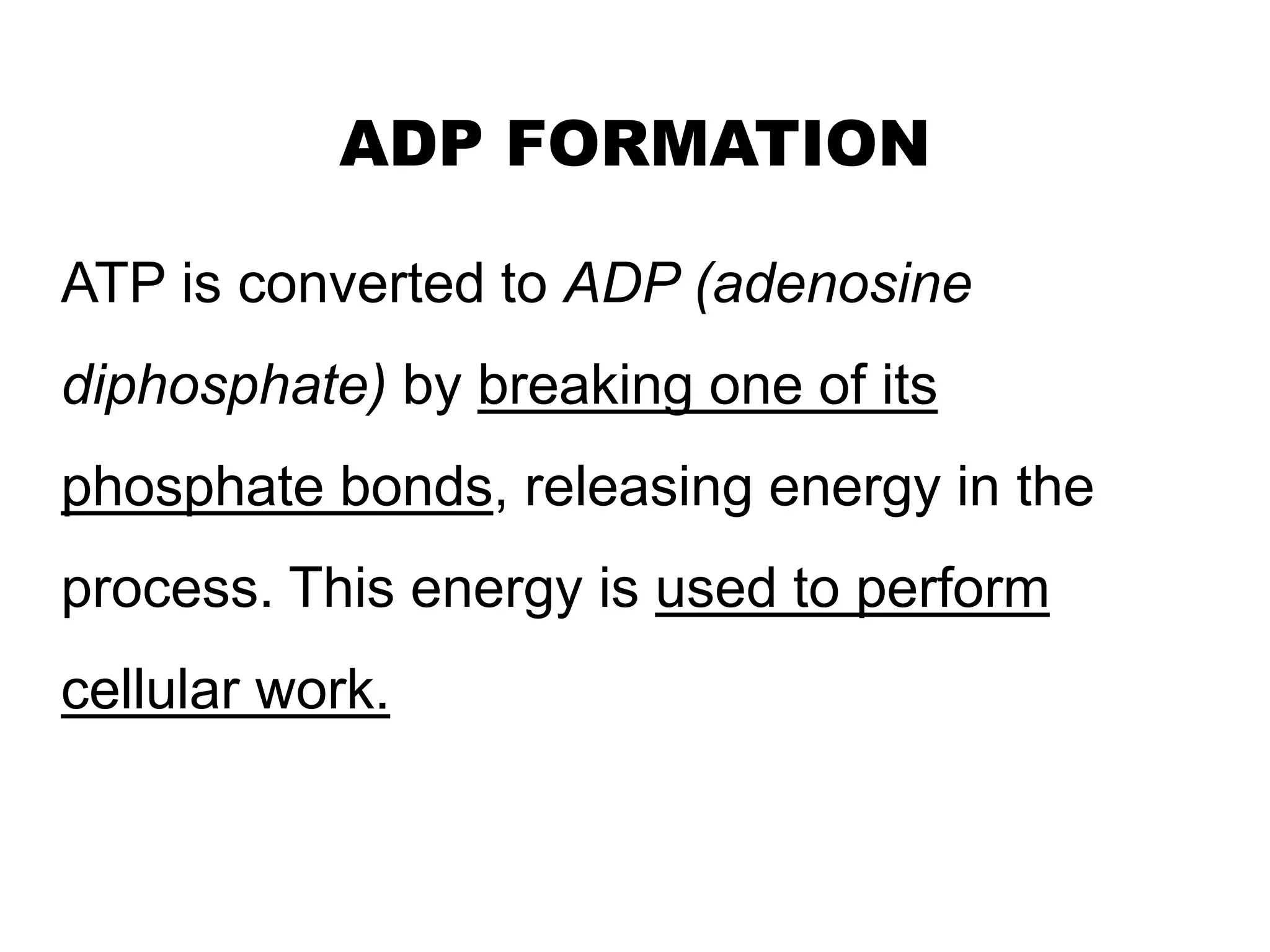 atp-adp-cycle.pptx