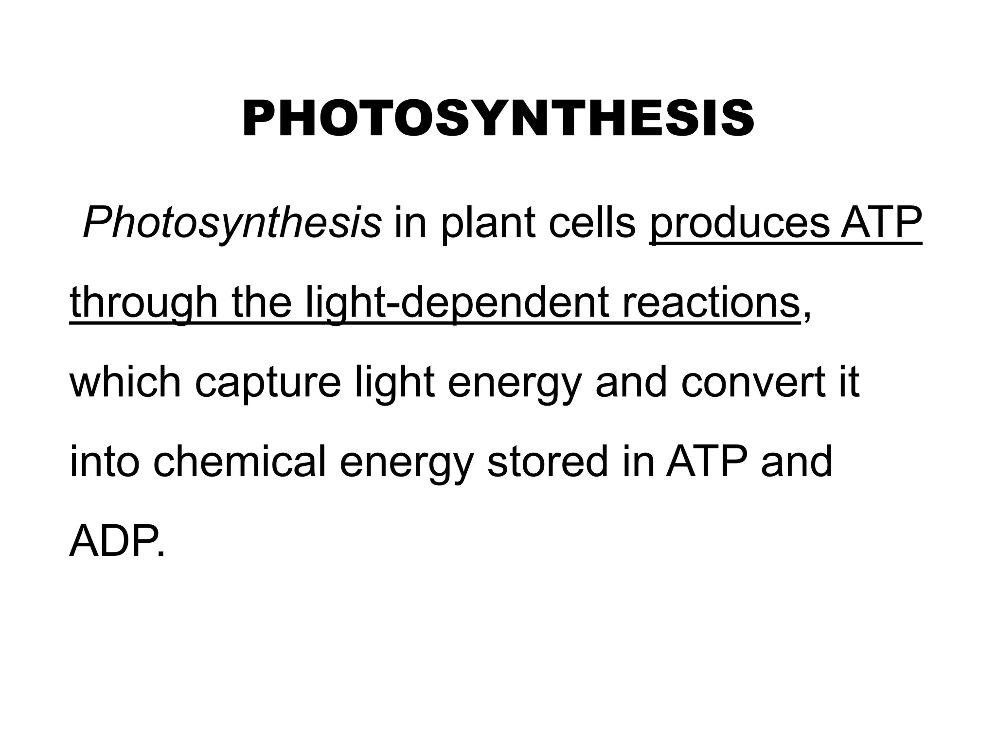atp-adp-cycle.pptx