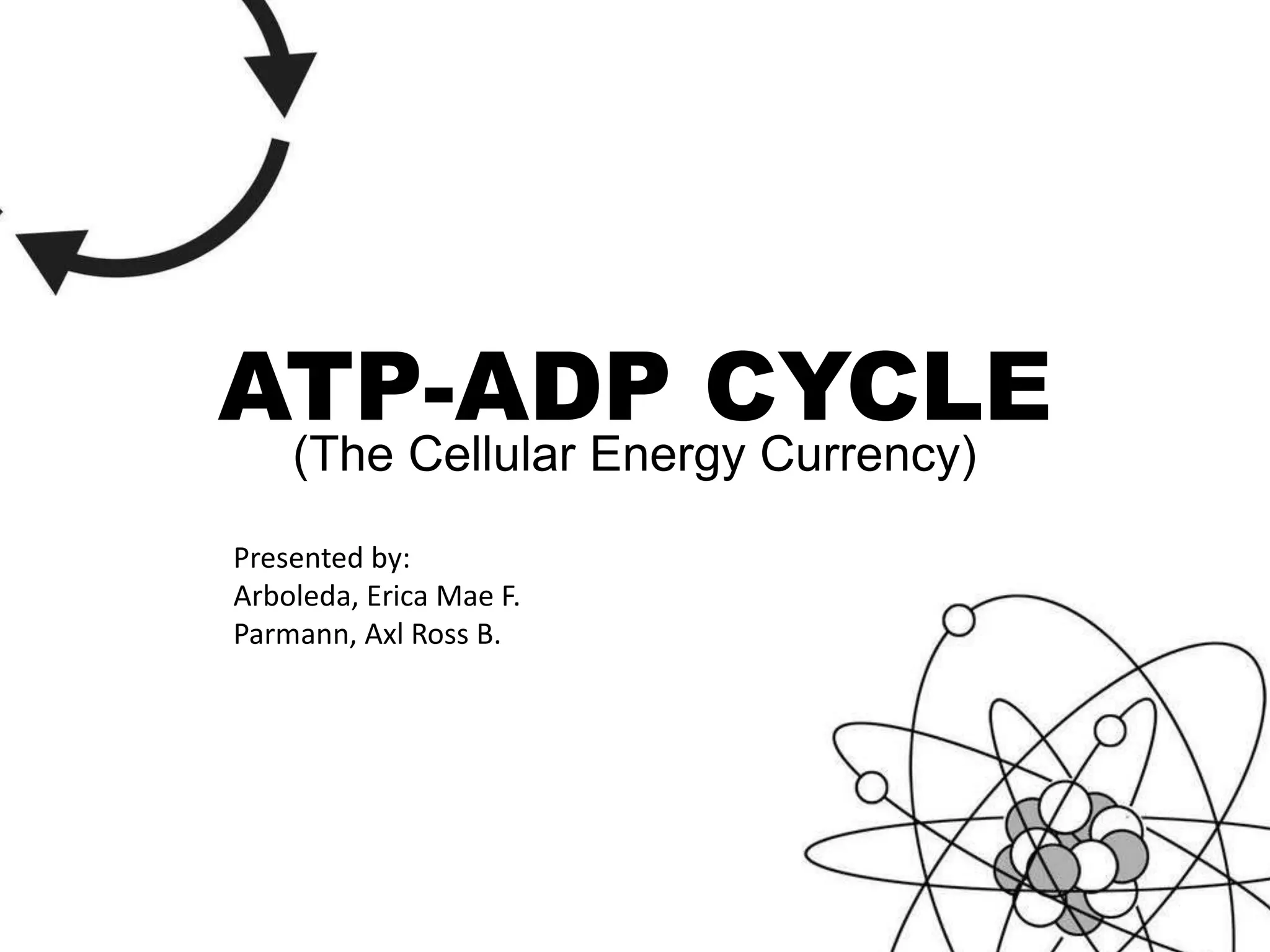 atp-adp-cycle.pptx