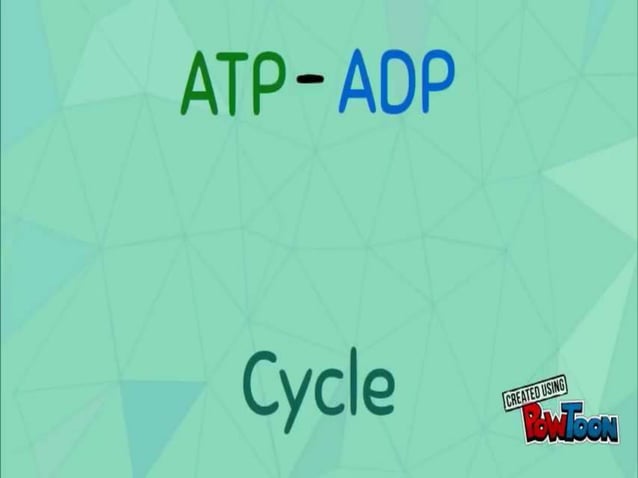 atp-adp-cycle.pptx