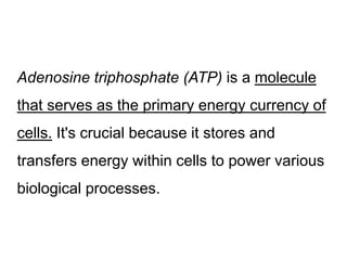 atp-adp-cycle.pptx