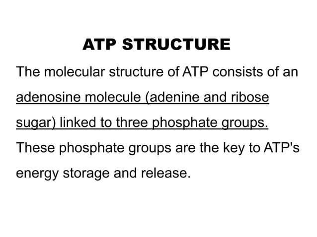 atp-adp-cycle.pptx