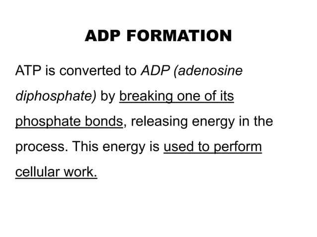 atp-adp-cycle.pptx