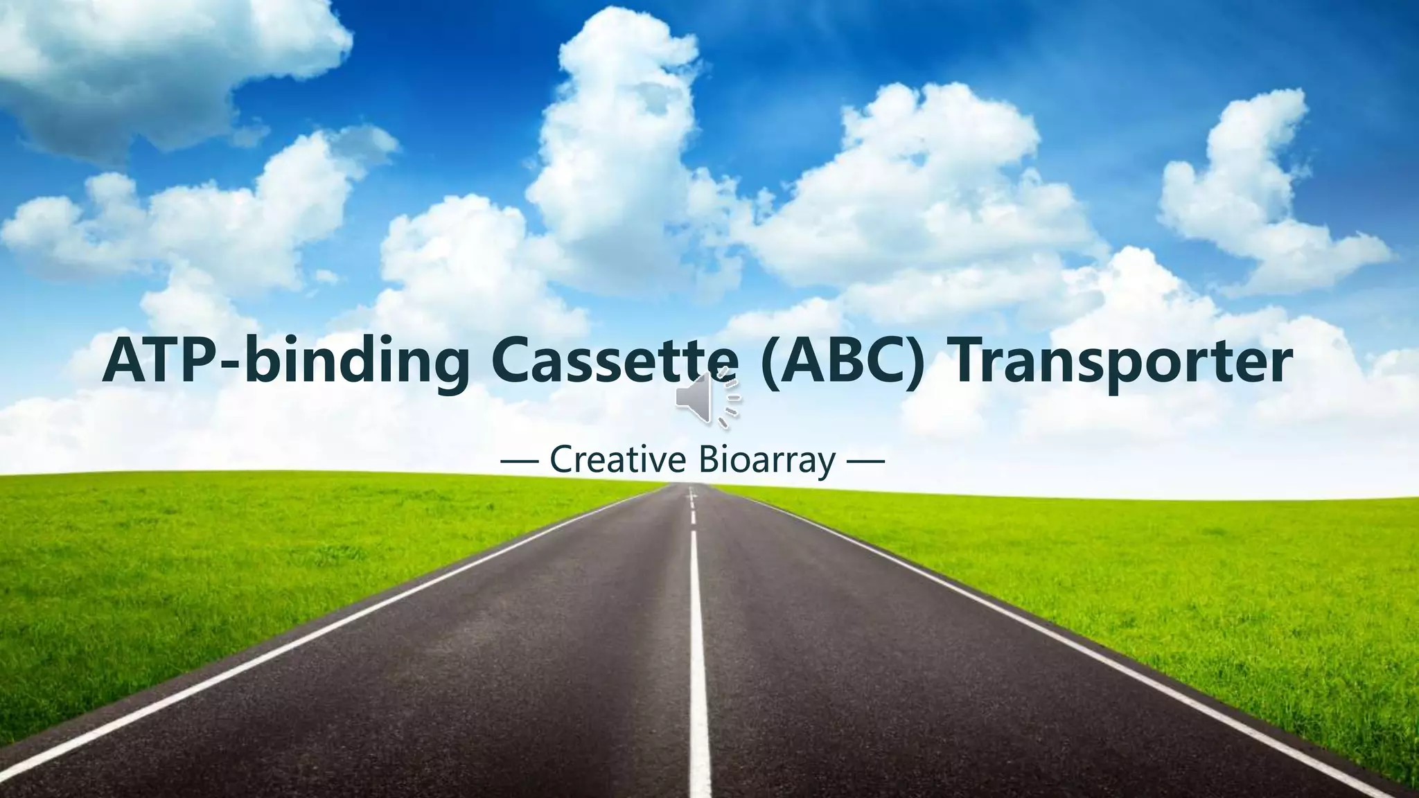 Atp Binding Cassette Abc Transporter Pptx