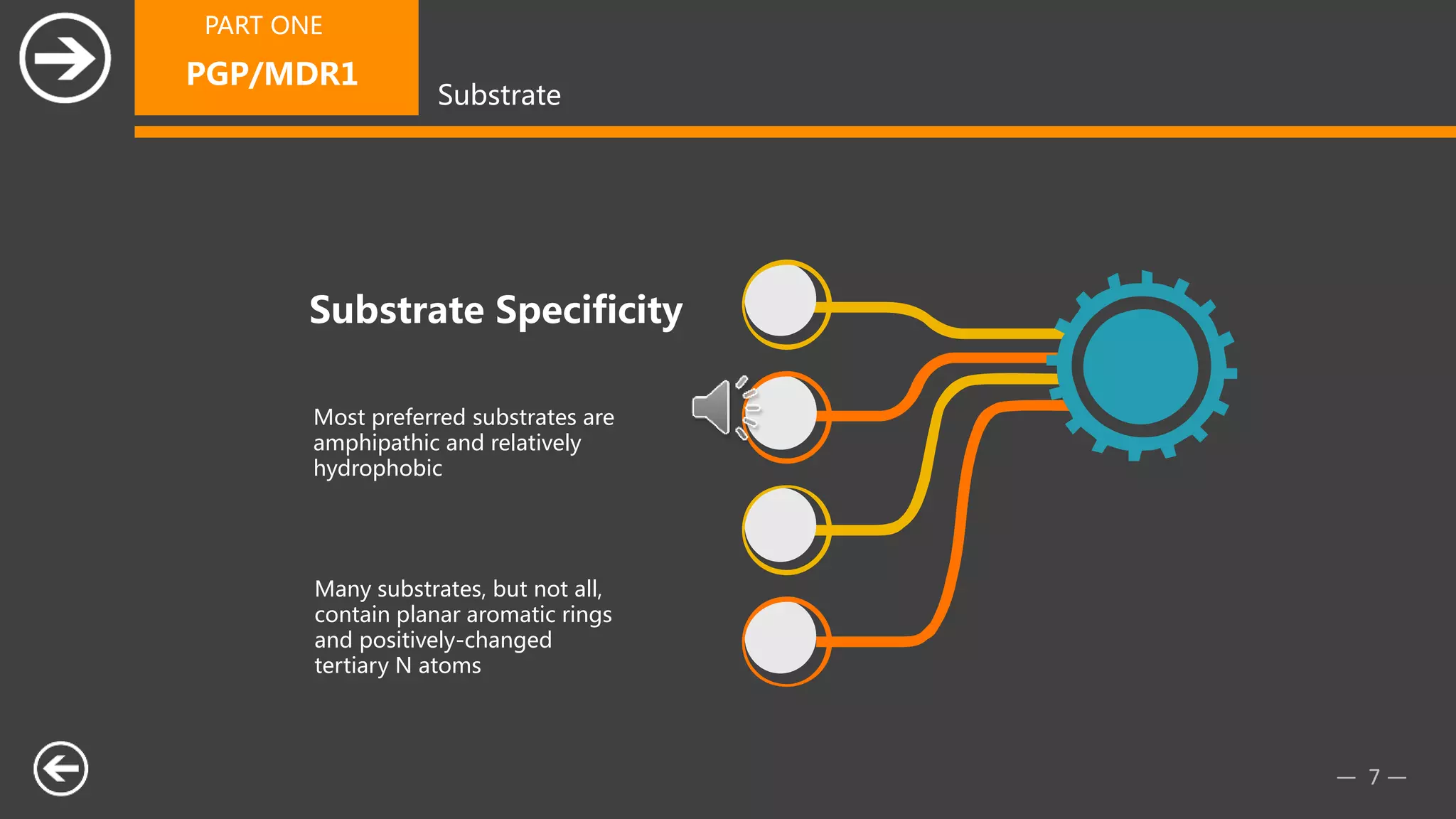 Atp binding cassette (abc) transporter | PPTX | Chemistry | Science