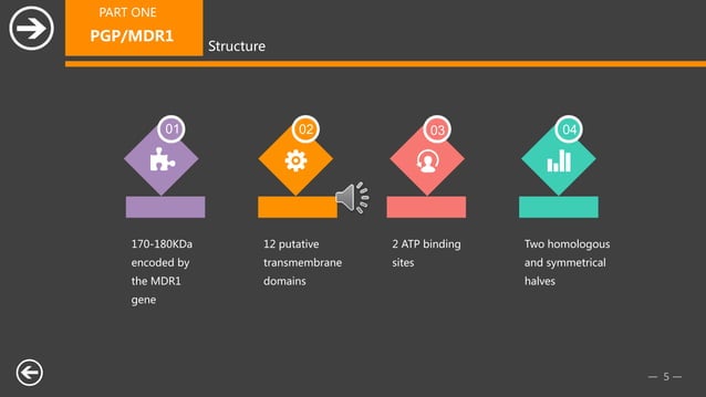 Atp Binding Cassette Abc Transporter Ppt