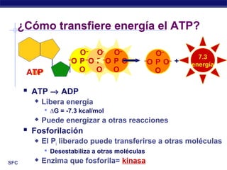 El ATP: transformaciones de energía | PPT