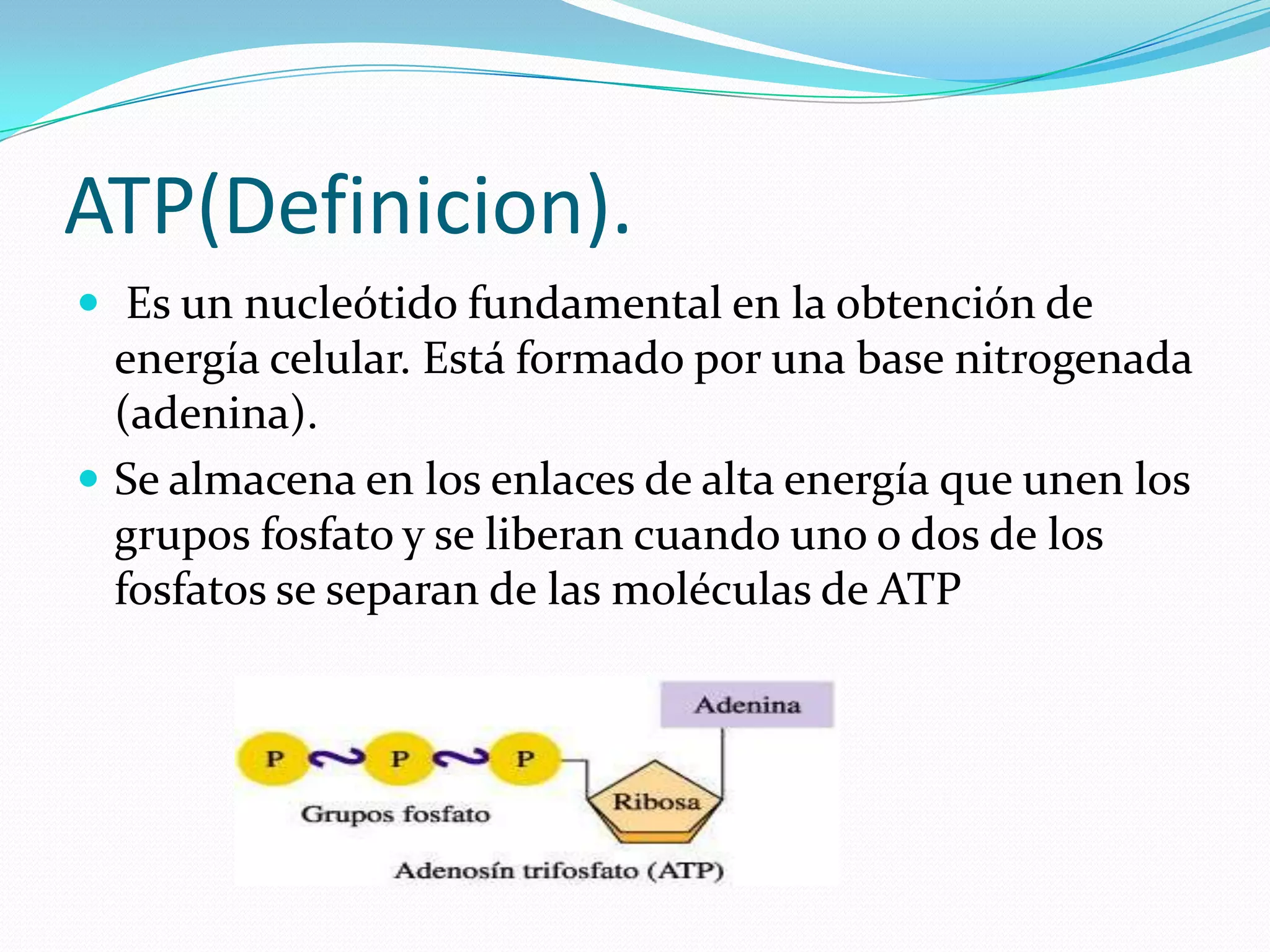 Atp(adenosin tris fosfato) biologia
