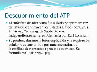 Atp(adenosin tris fosfato) biologia | PPTX