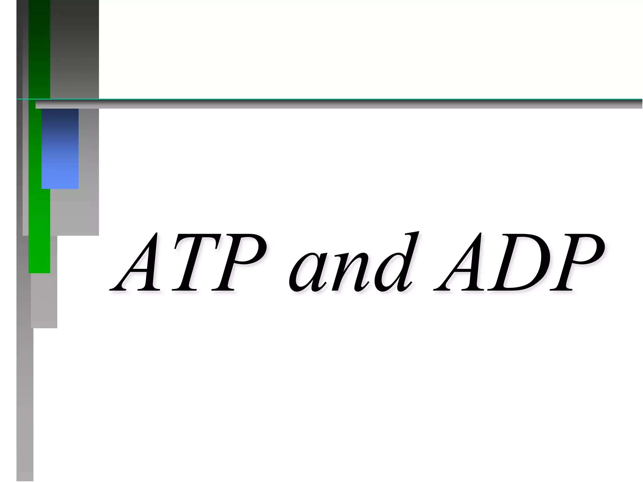 ATP and ADP.pptx