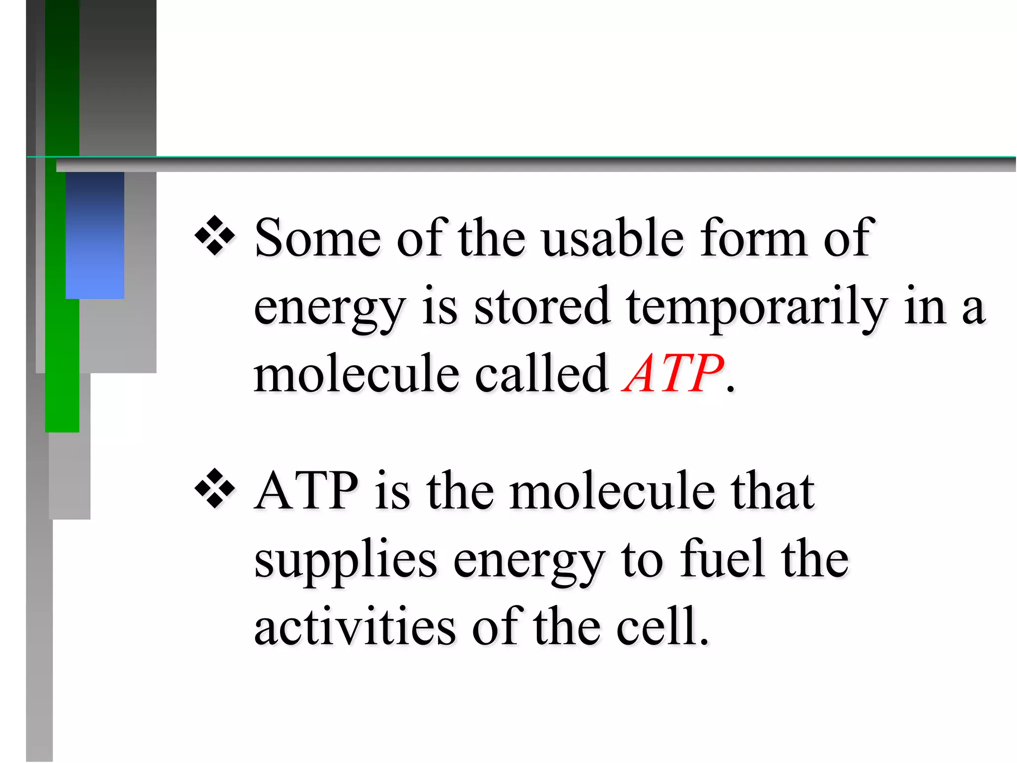 ATP and ADP.pptx