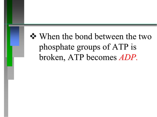 ATP and ADP.pptx