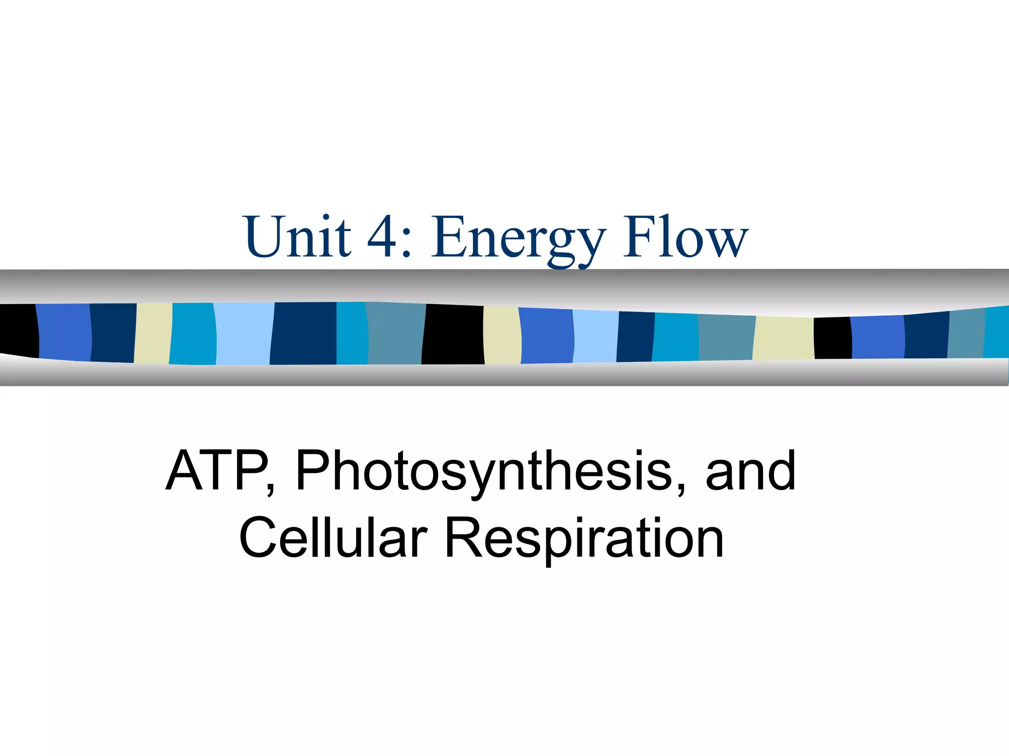 ATP, Photosynthesis, and Cellular Respiration | PPT