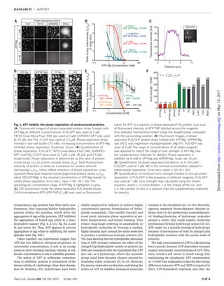 Atp as a biological hydrotrope | PDF