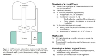 ATPases as nanomachines, Types and disease related | PPT