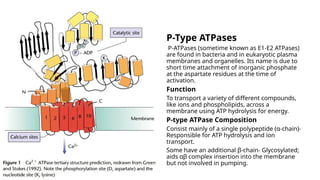 ATPases as nanomachines, Types and disease related | PPTX