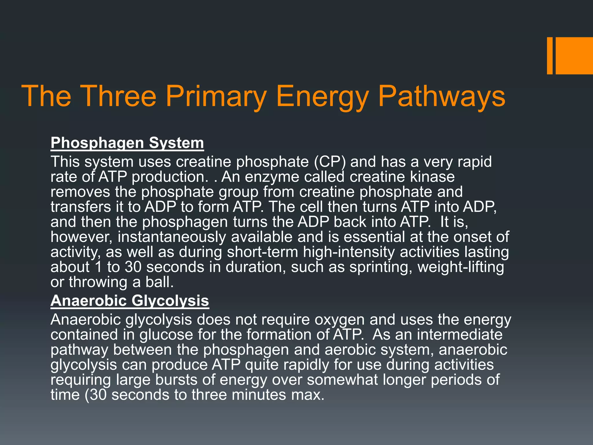 Role of ATP in Bioenergetics | PPTX