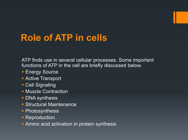 Role of ATP in Bioenergetics | PPTX | Endocrine and Metabolic Diseases ...
