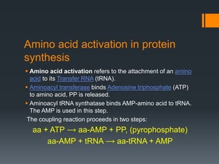 Role of ATP in Bioenergetics | PPTX