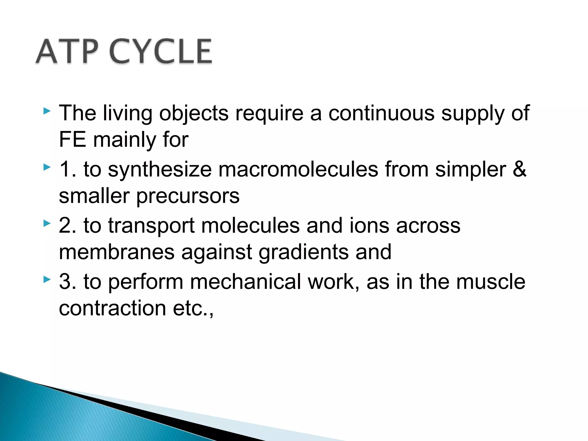 ATP cycle | PPT